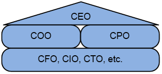 Chief Portfolio Officer