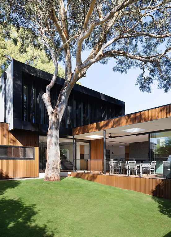 TMC Tree Reports, Root Investigation, Melbourne.