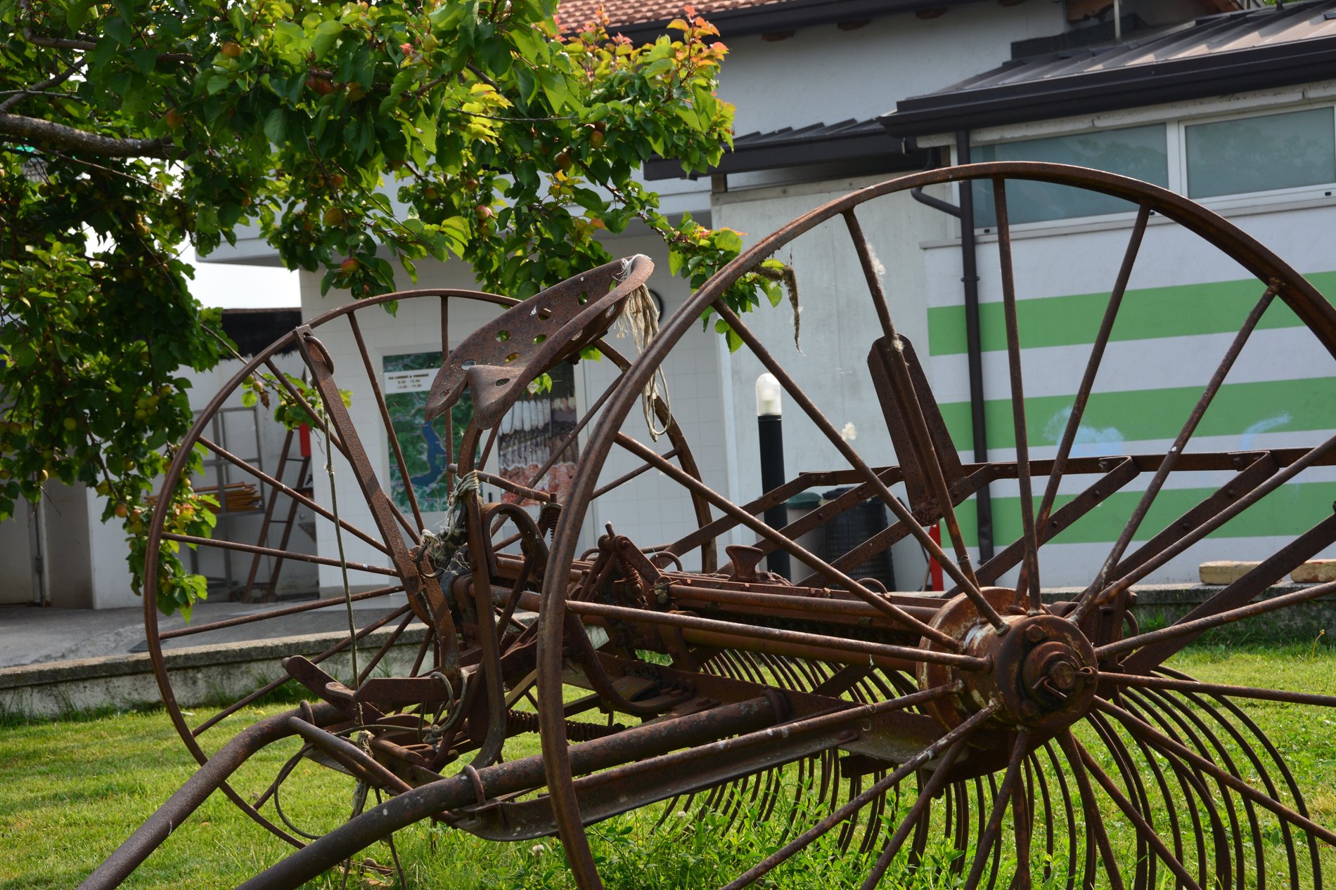 Zanardini salumi a Costa Volpino | Salumi e mezzene di suino | Bergamo