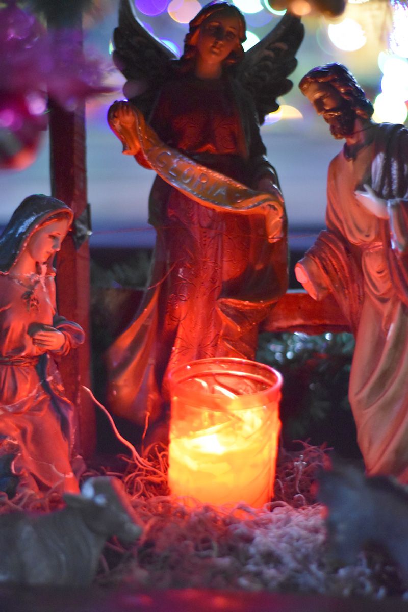 Experiencia de acompañamiento