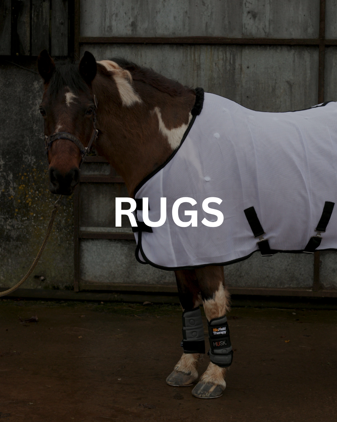 Breathable Horse Wear | The Husk