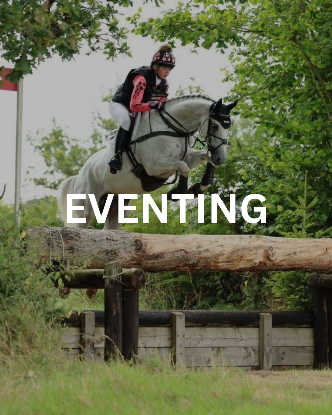 Equestrian eventing: Rider jumping a log obstacle on a gray horse ...