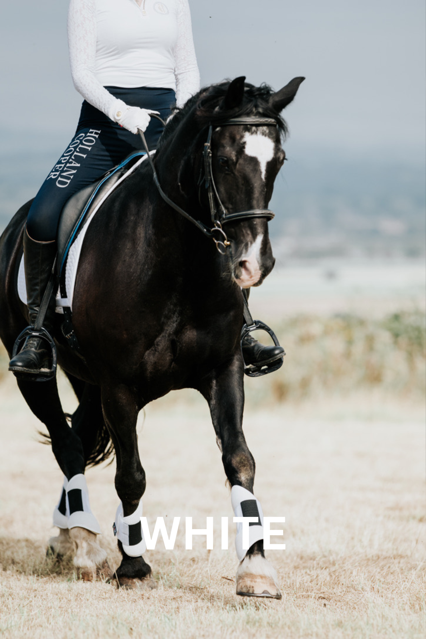 Breathable Horse Wear | The Husk