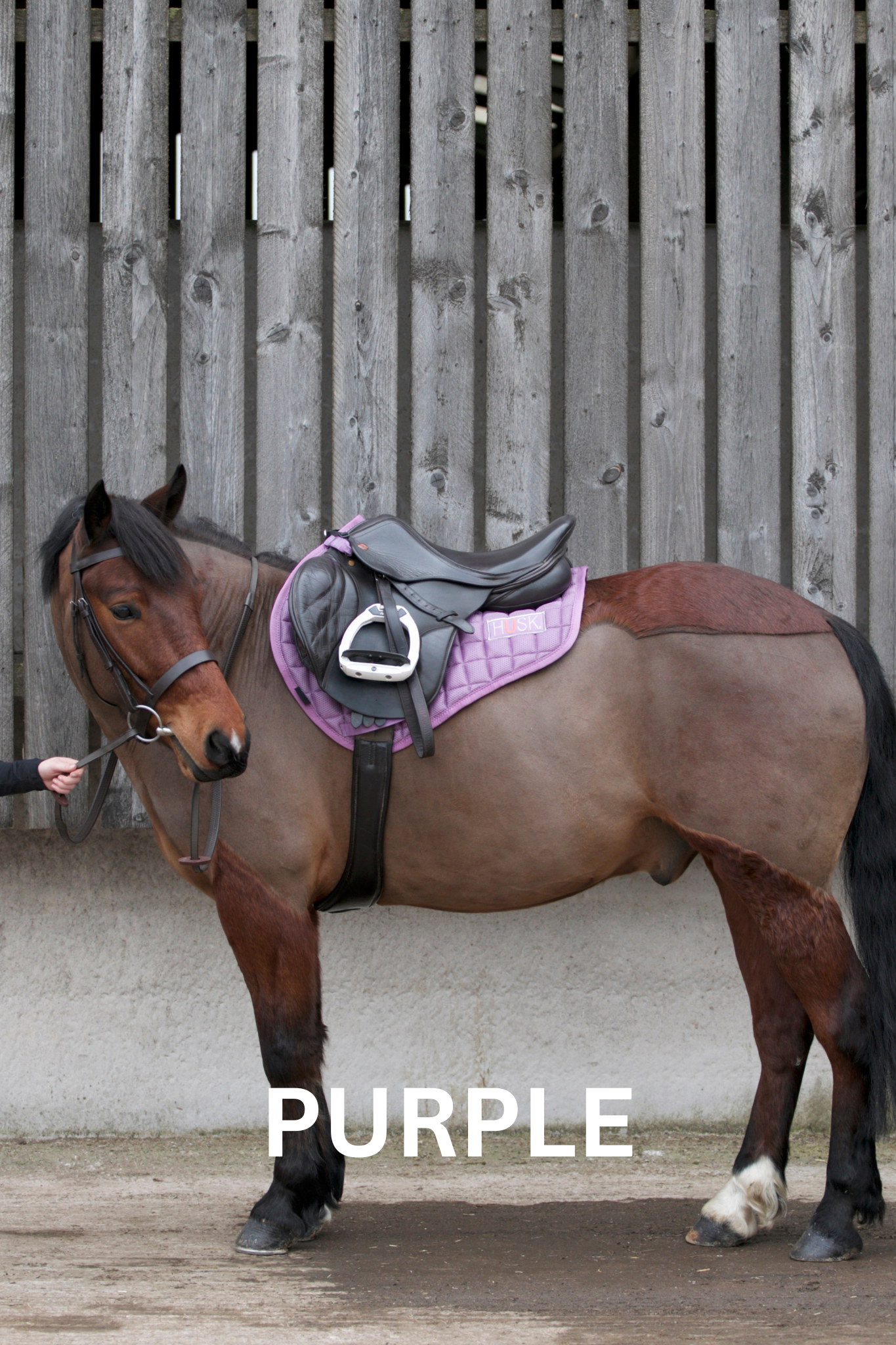 Breathable Horse Wear | The Husk