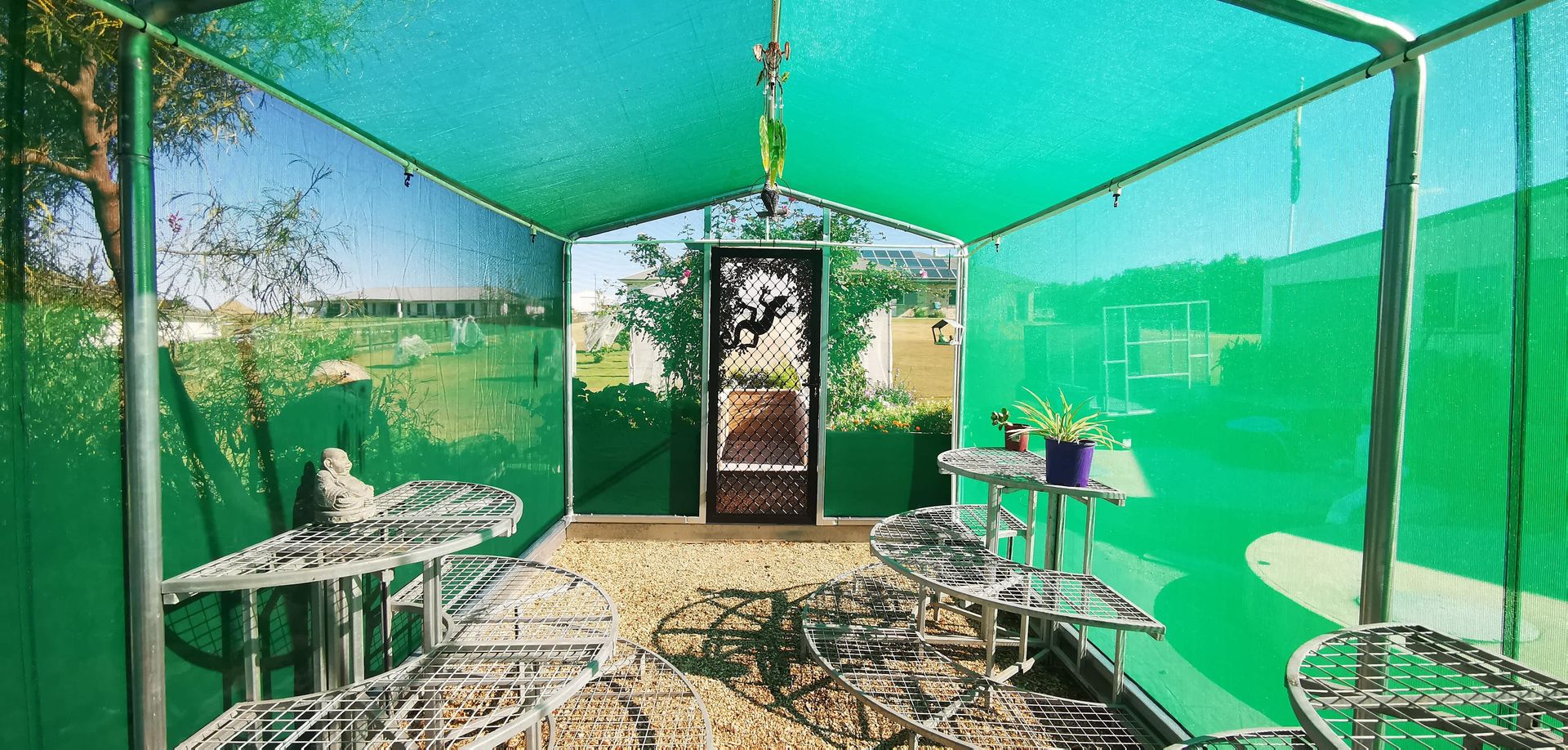 Shady Shade House - The Perfect, Portable Greenhouse Solution