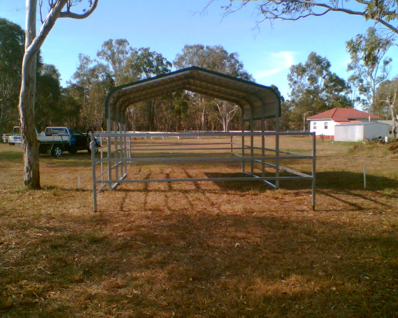 Animal Shelter - The Shelter Solution for Animals