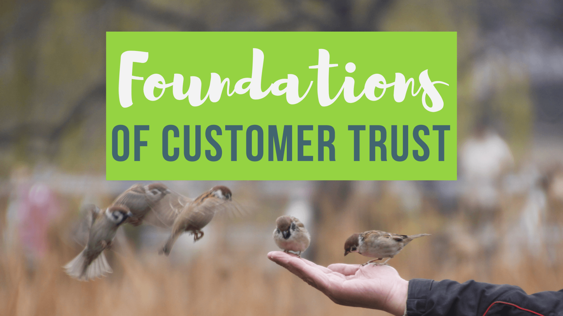 Foundations of Customer Trust