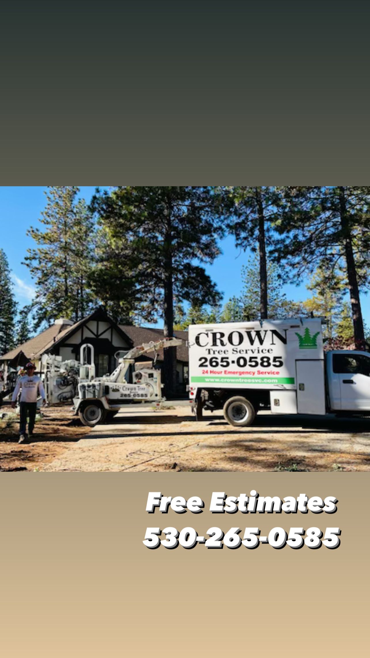 tree services crown