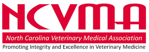 Zoom Again Mobile Veterinary Rehabilitation