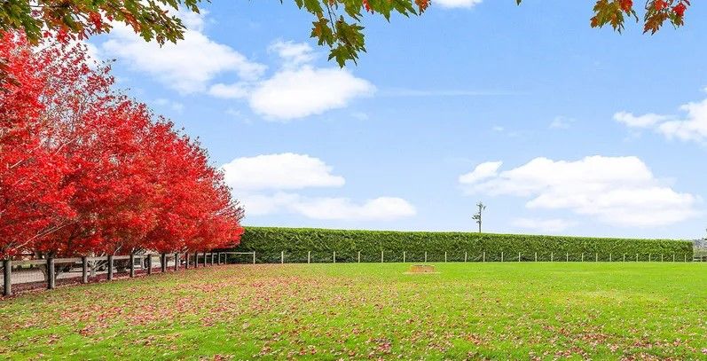 Our Gallery | Warragul, VIC | BSK Tree Services