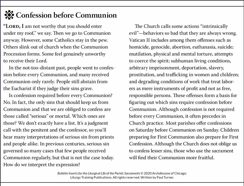 The Liturgy Course: Should I Go to Confession Before Going to Communion?