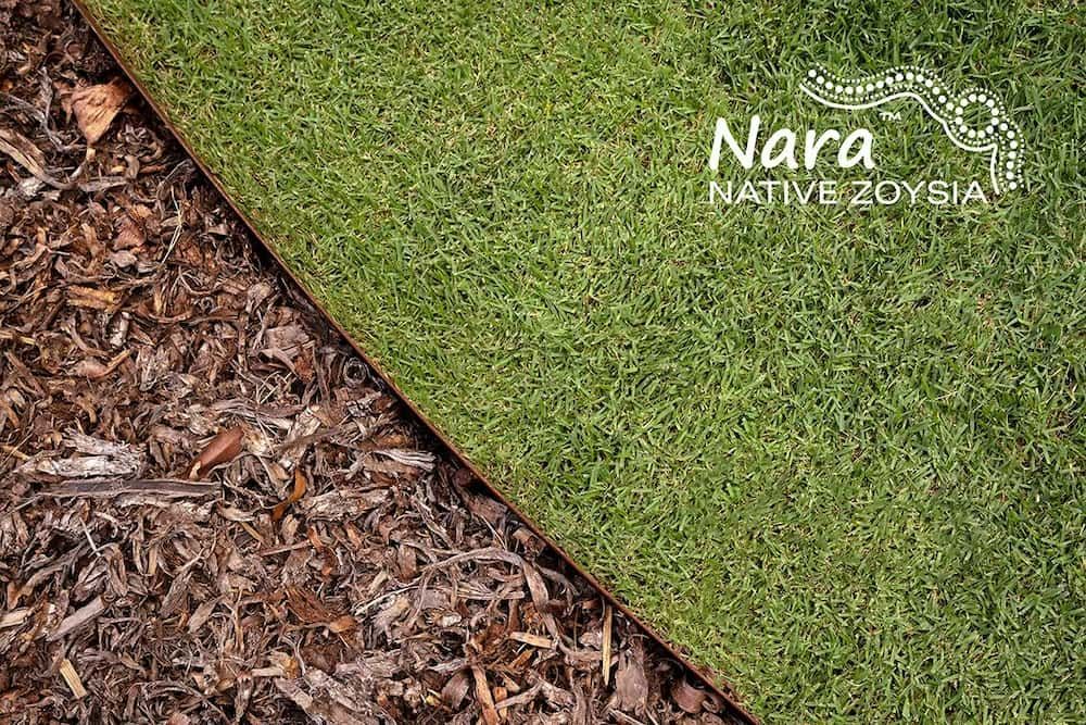 Product Catalogue | Tweed Landscape Supplies