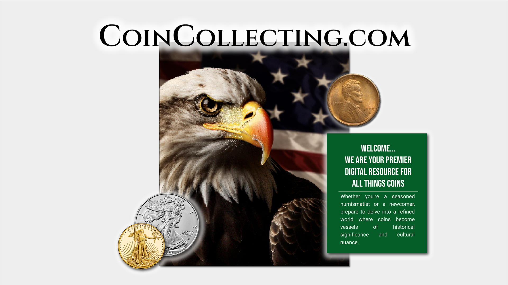 Coin Collecting Home