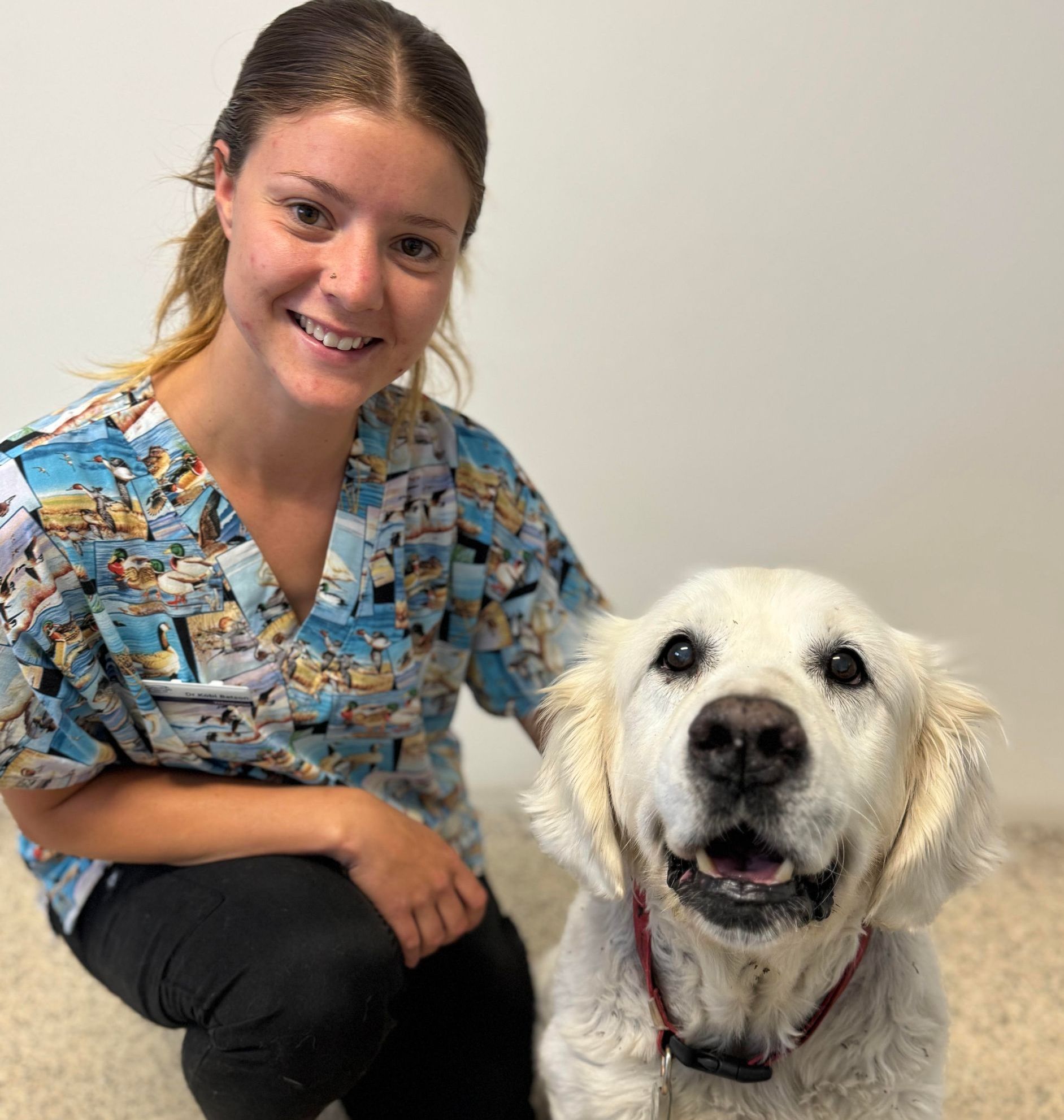 About Us | Para Hills, SA | Para Hills Vet Clinic