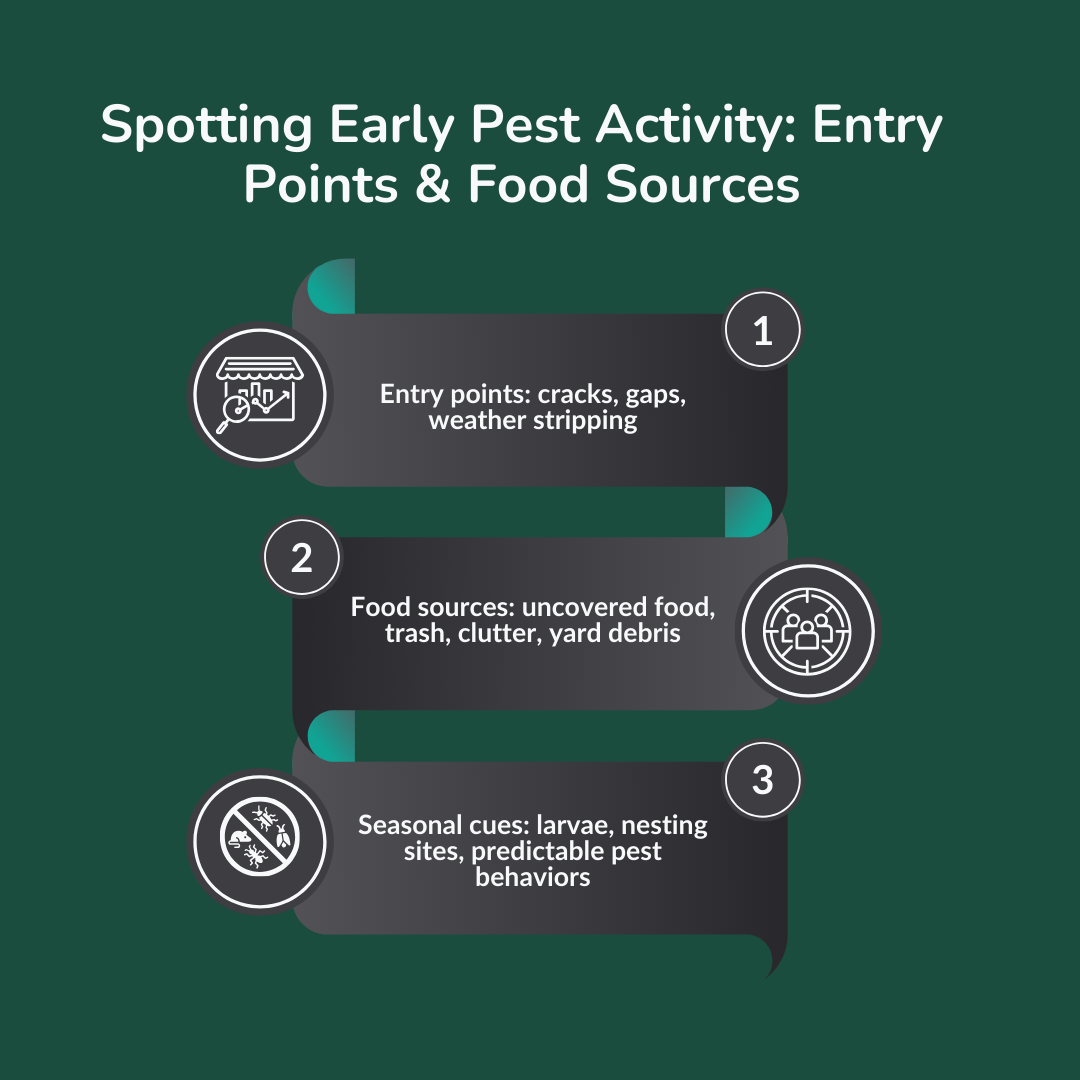 Handling Seasonal Pest Spikes: Strategies for Pest Control Businesses
