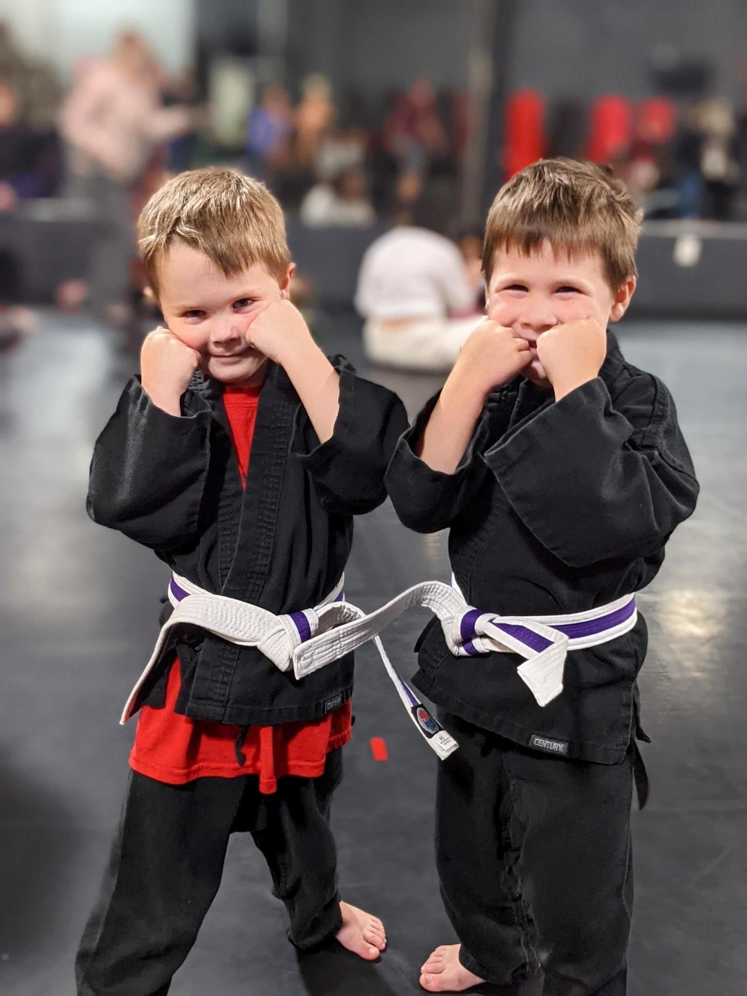 Unlock Your Potential with Budo Full Range Martial Arts