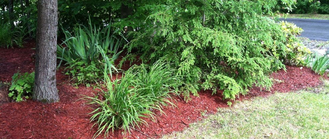 Proper Mulching Techniques » Save Water and Your Trees