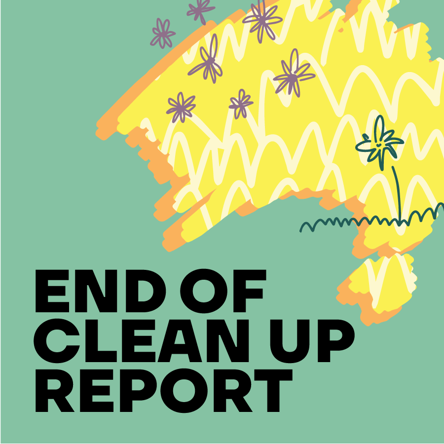Clean Up Australia