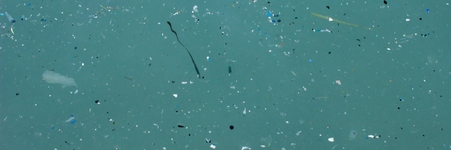 Microplastics are everywhere. What can we do about it?