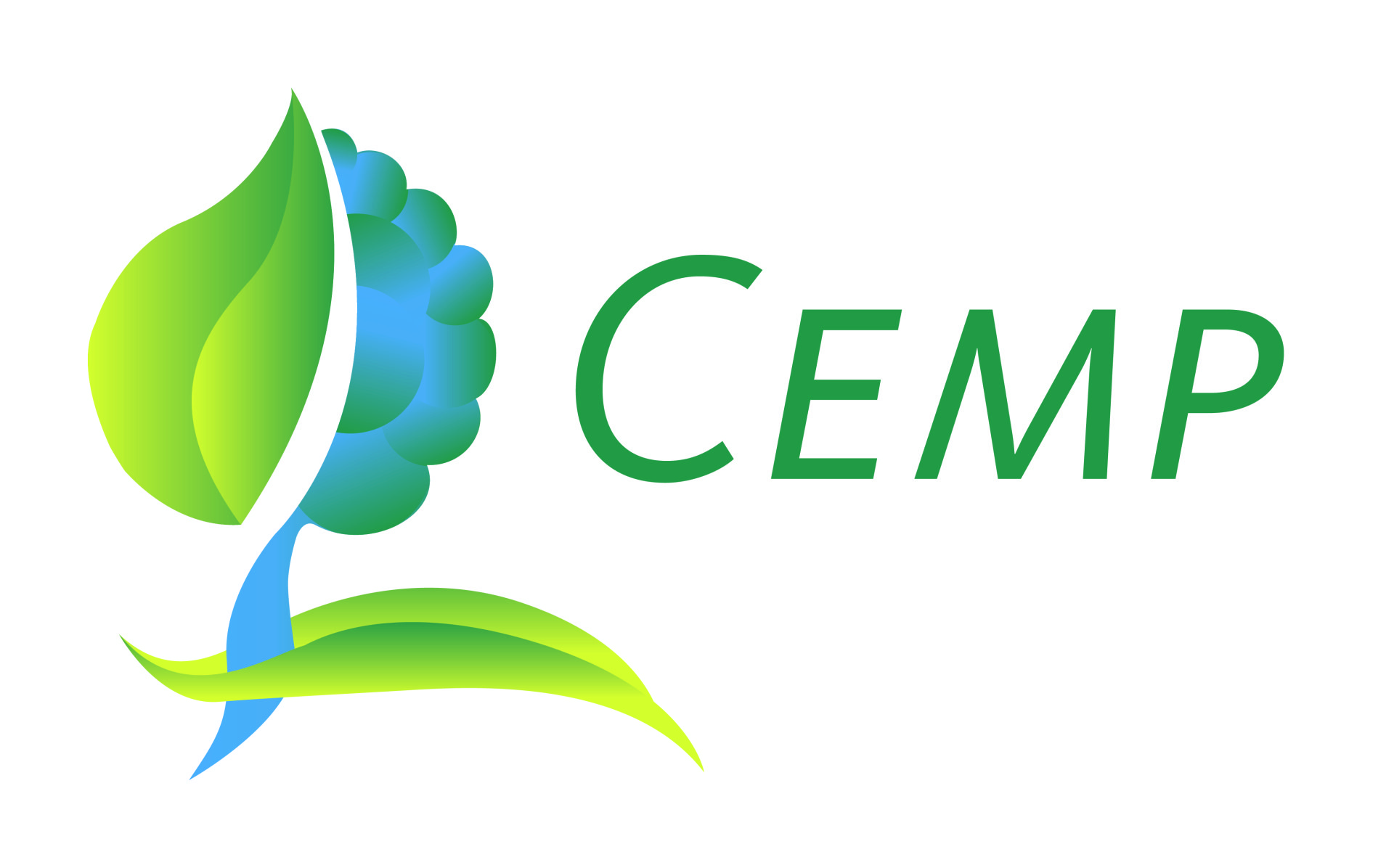 Deelname aan stichting CEMP