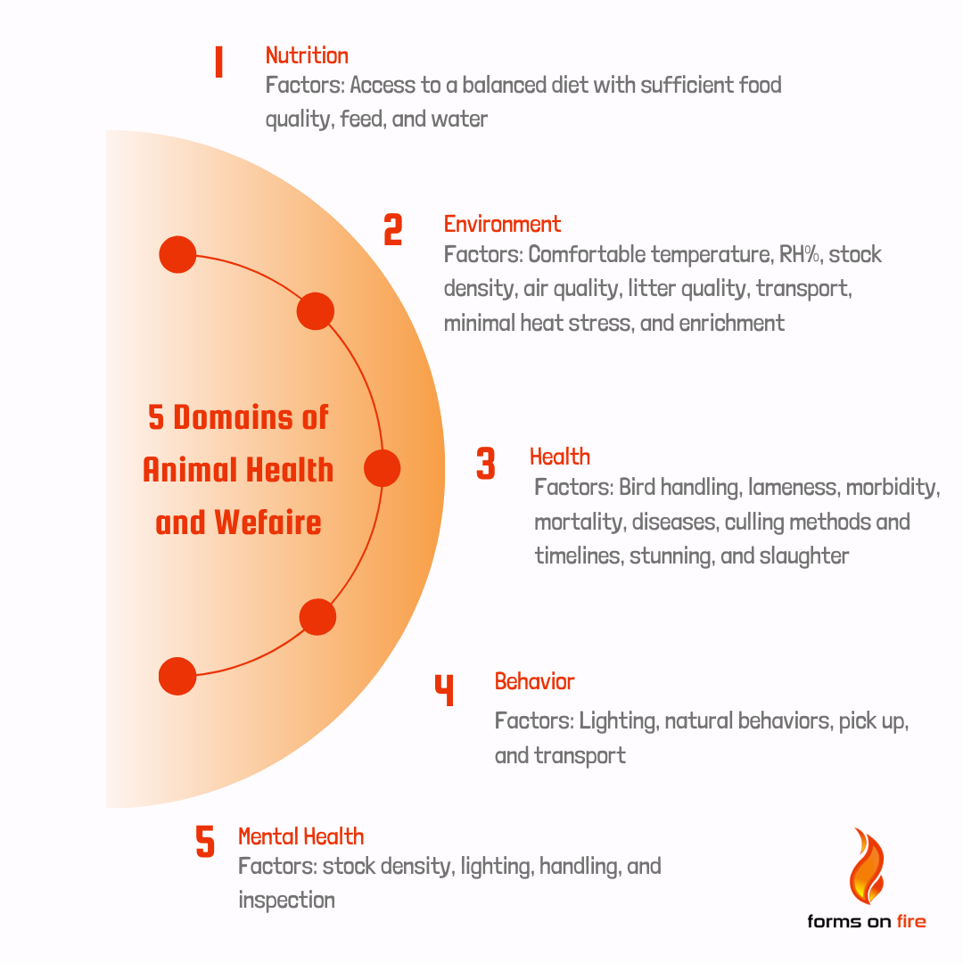 Streamline Poultry Operations With Farm Management Software