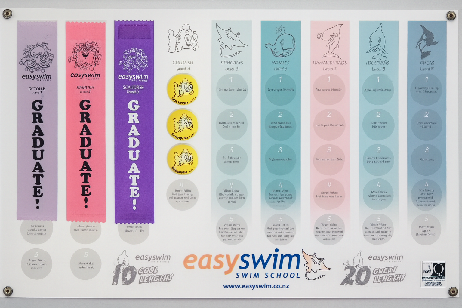 Swimming Lessons for Kids | Easyswim | Wellington