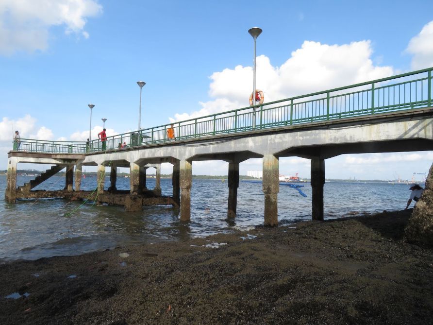 Jetty Structural Condition Assessment & Inspection | KK Forges LLP