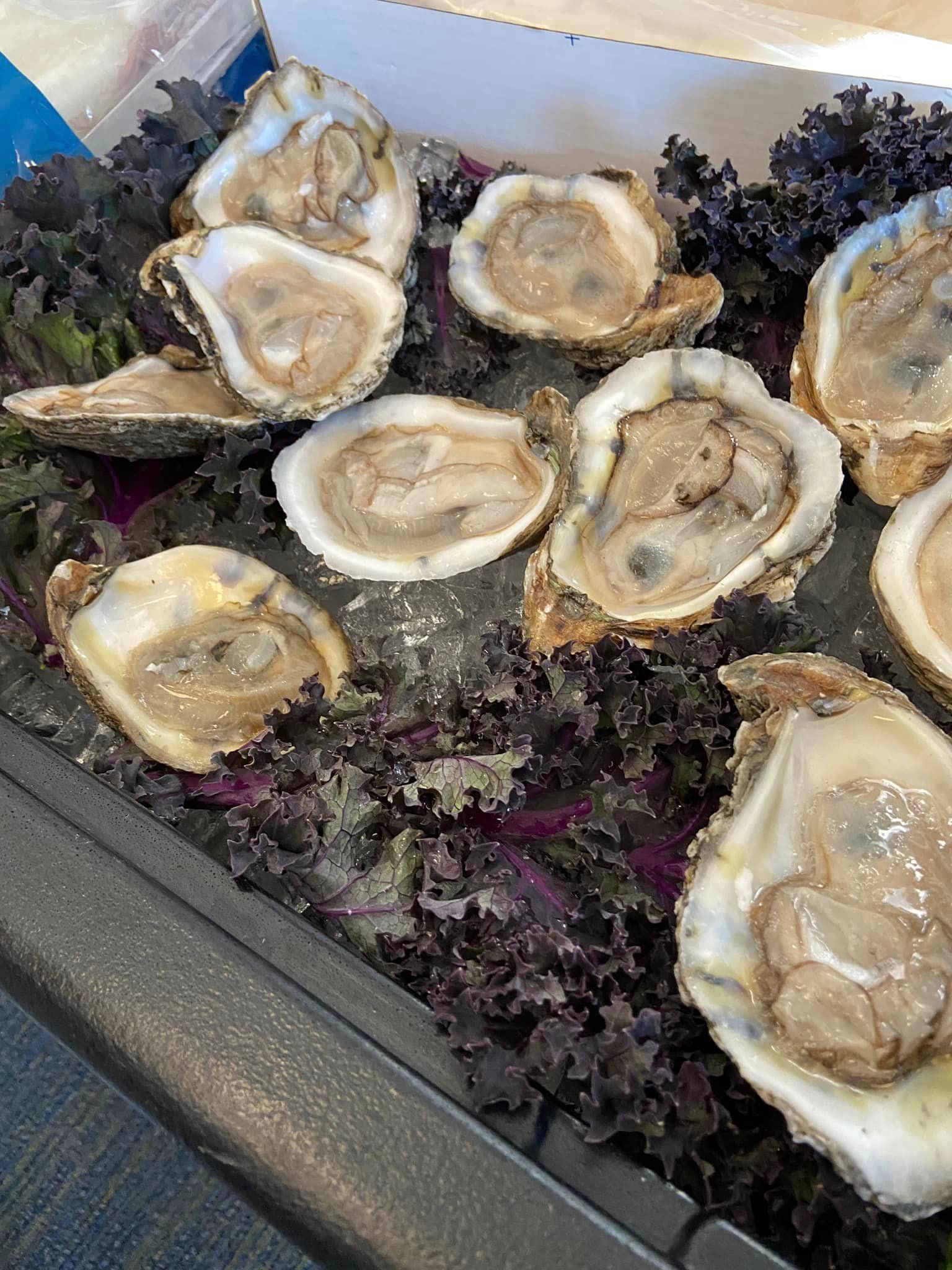 Fresh Seafood – St. Helena Island, SC – Gay Fish Company