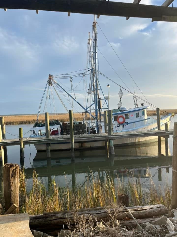 Seafood Market – St. Helena Island, SC – Gay Fish Company