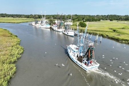 Seafood Photos – St. Helena Island, SC – Gay Fish Company