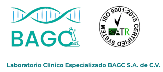 Home [www.laboratoriobagc.com.mx]