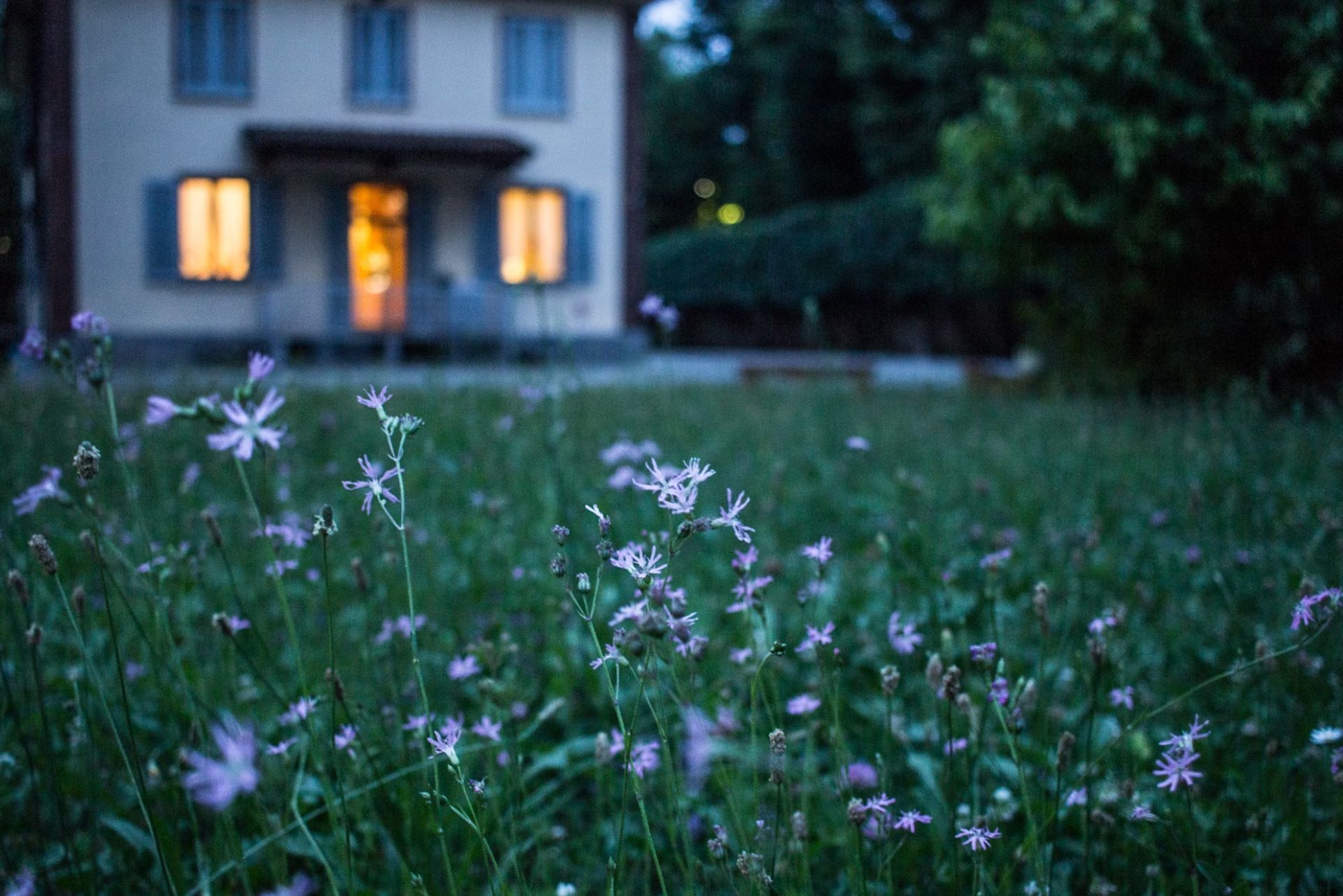 Longview TX Home Insurance (Cost & Coverage) | Braly Insurance Group