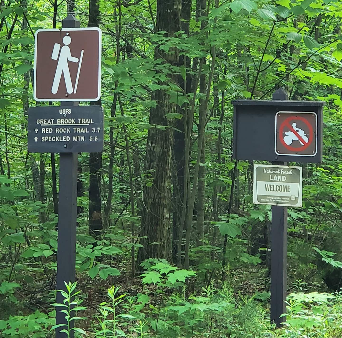 Seasonal Activities | Stoneham, ME | 207-928-3300