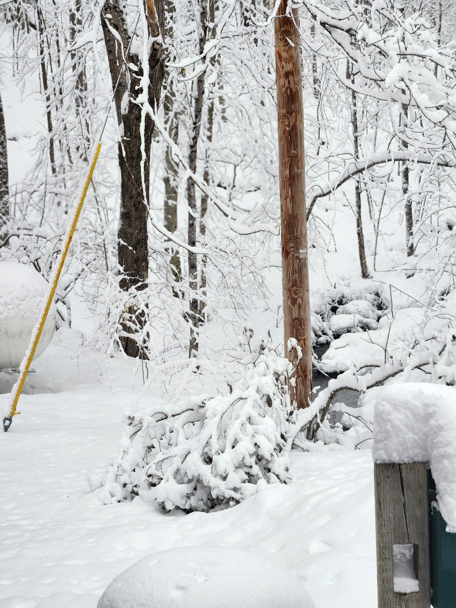 Gallery | Stoneham, ME | 207-928-3300