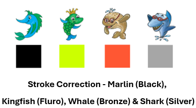 Our Programs | Col Jones Swim Tempe