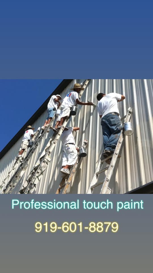 Home Painting Ideas & Gallery | Professional Touch Paint NC