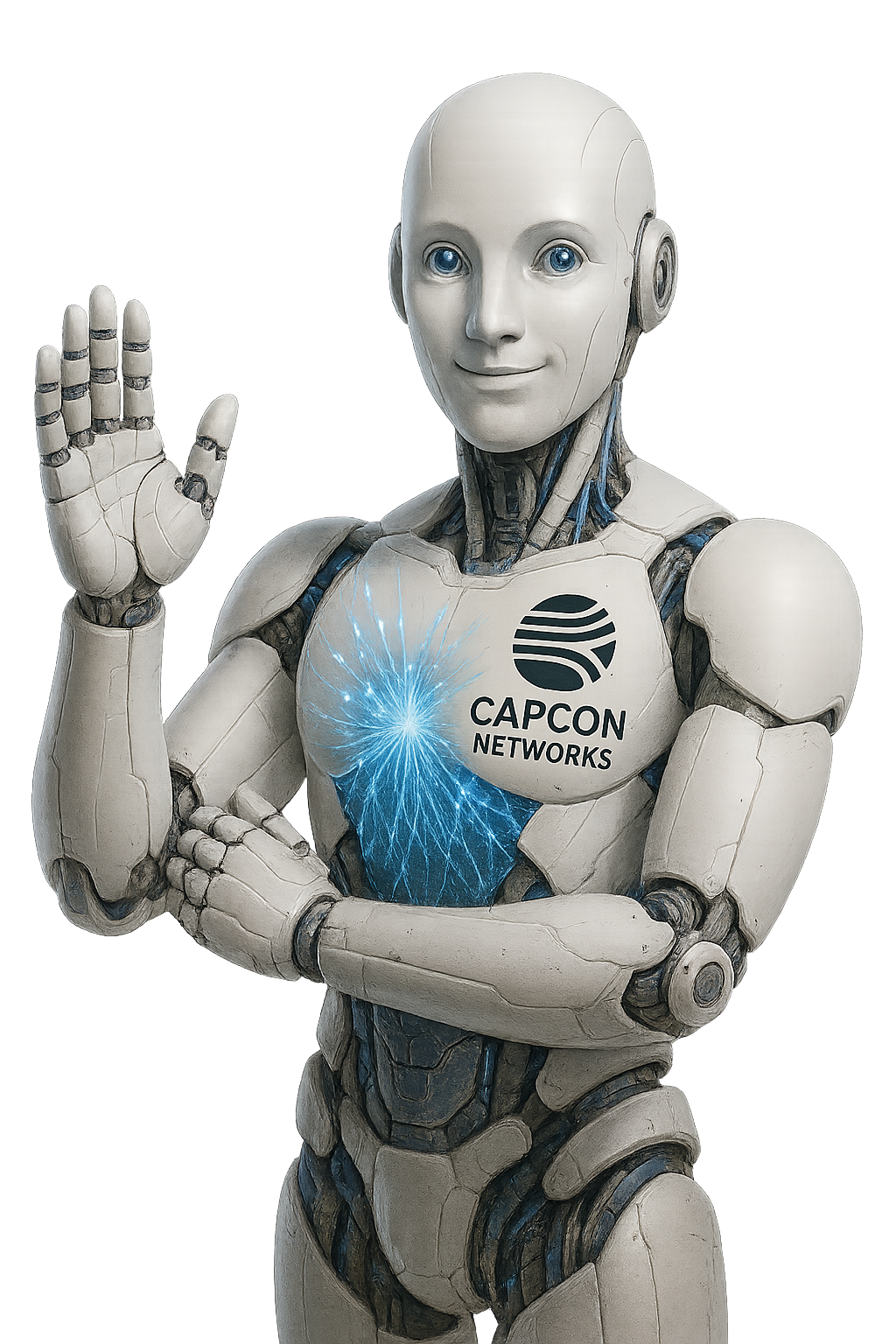 Connectivity Solutions | Capcon Networks