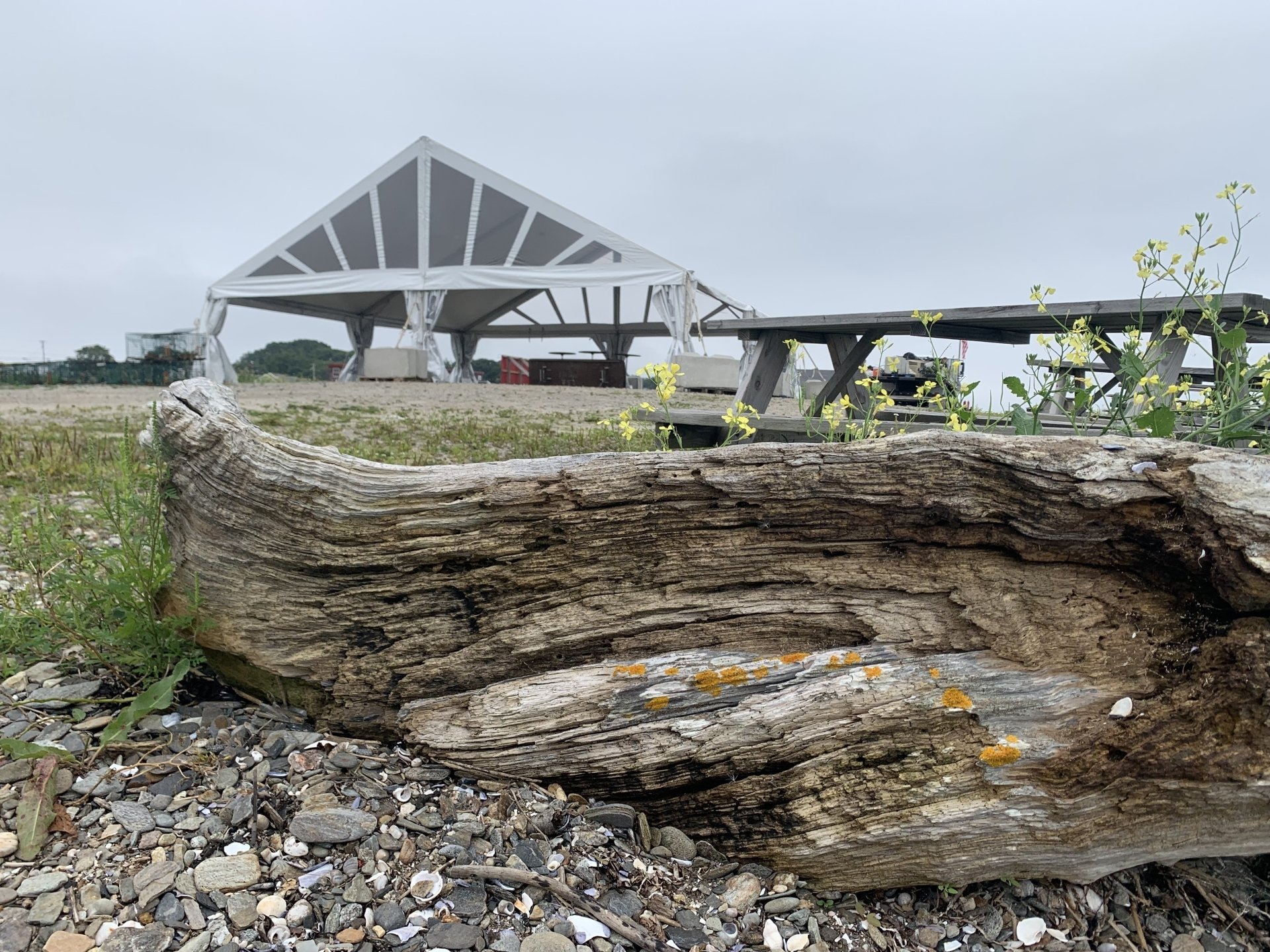 LA Tent & Awning | New England Tent, Wedding & Event Rentals