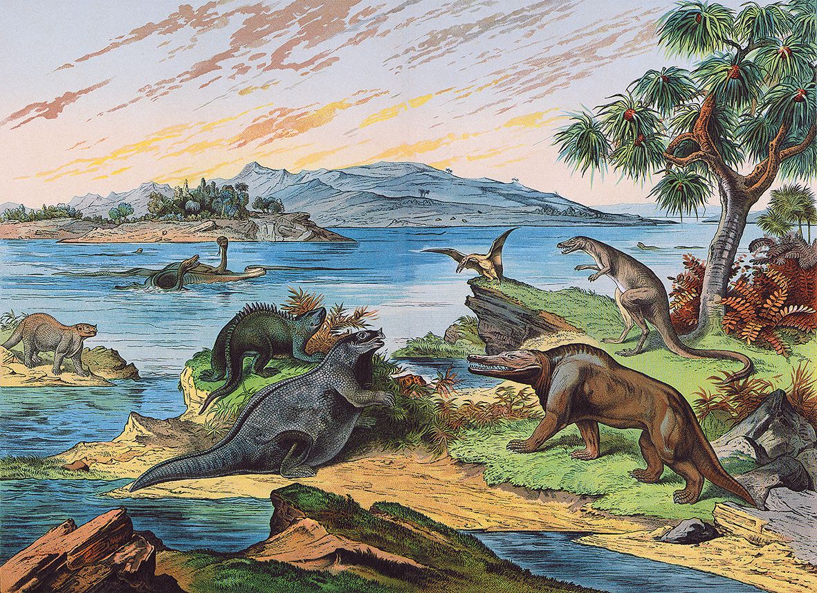 Entdeckung der Urzeit