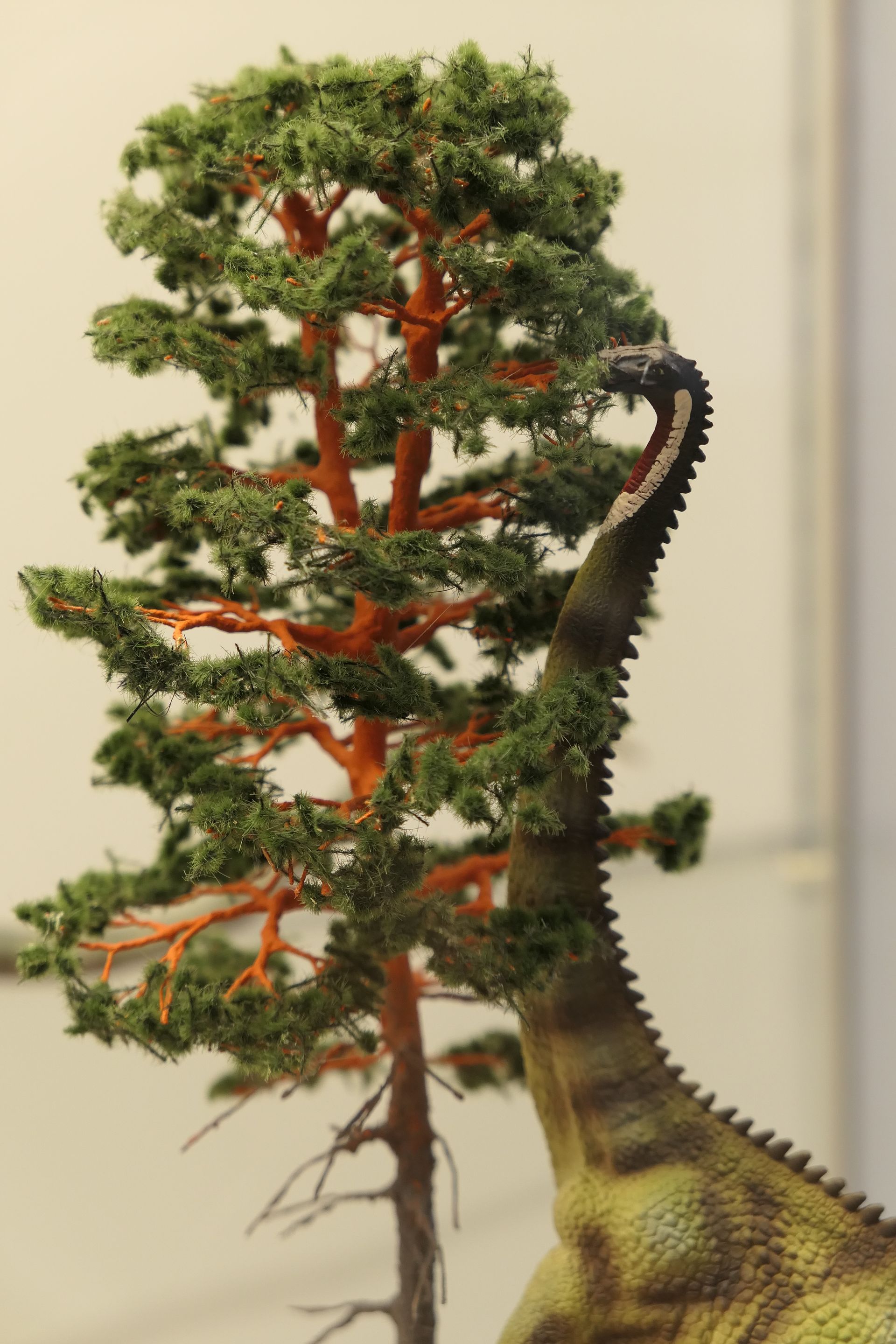 Pfalzmuseum für Naturkunde Bad Dürkheim online