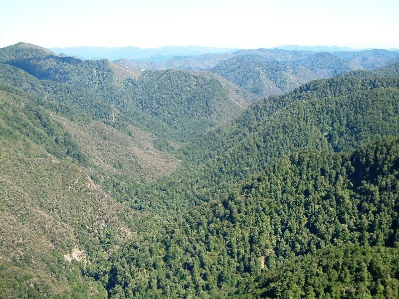 Hunting & Fishing NZ - Upper Ripia - Ahimanawa