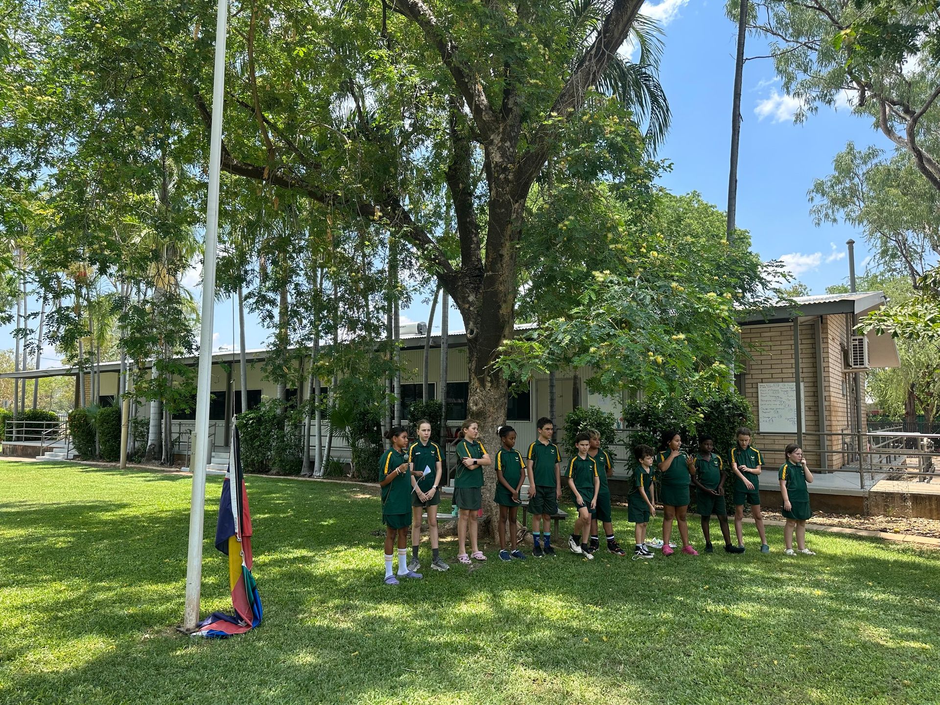 Term 4, Week 7