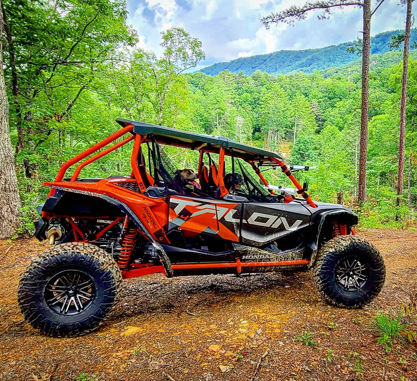 UTV 4-Seat Rentals | Smoky Mountains Adventure Rentals