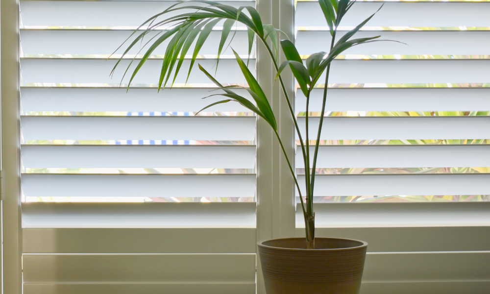 Boost Your Home's Curb Appeal with Custom Plantation Shutters and Blinds