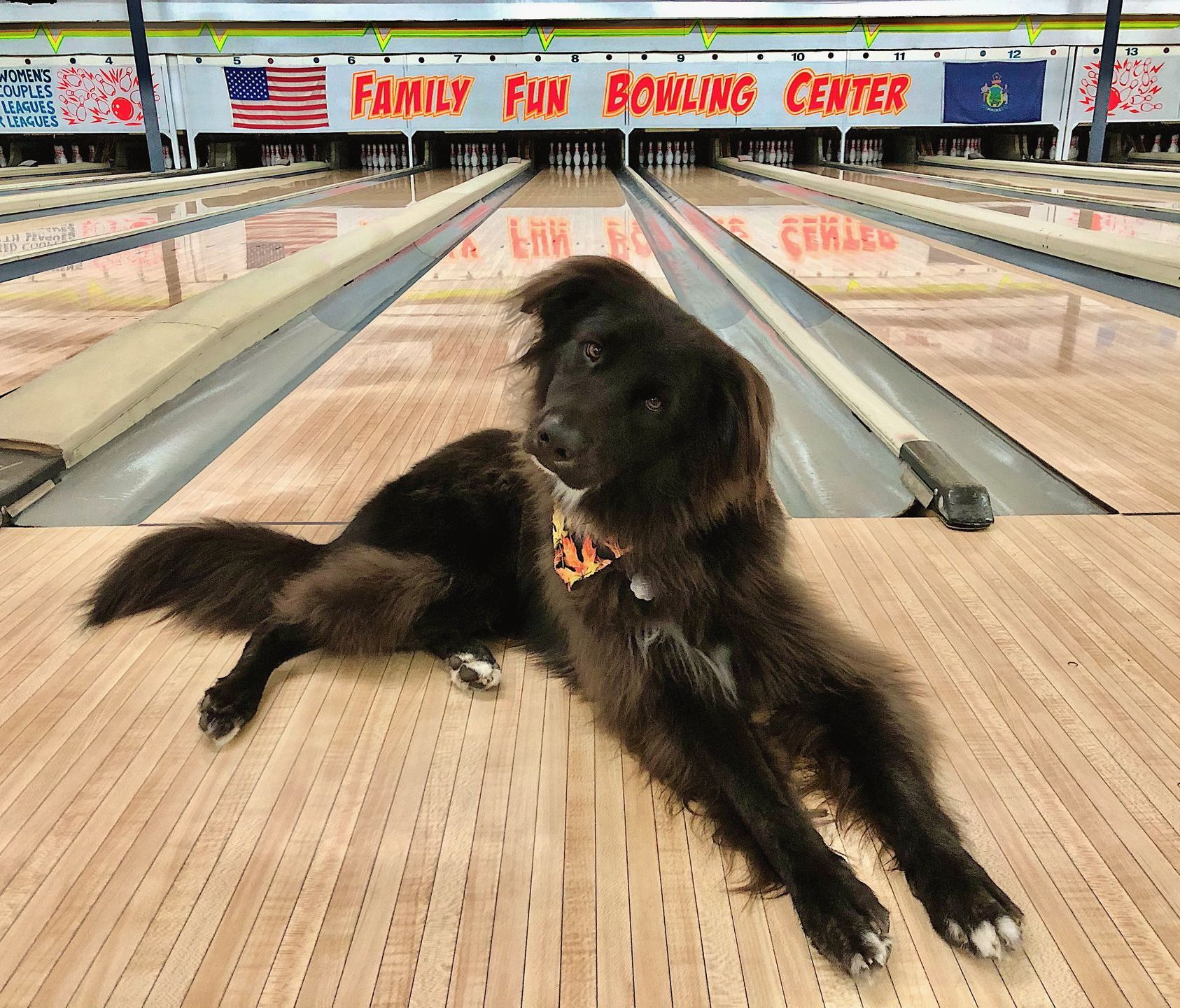 Bowling Events, Bowling Parties, Bowling Lessons | Bangor, ME