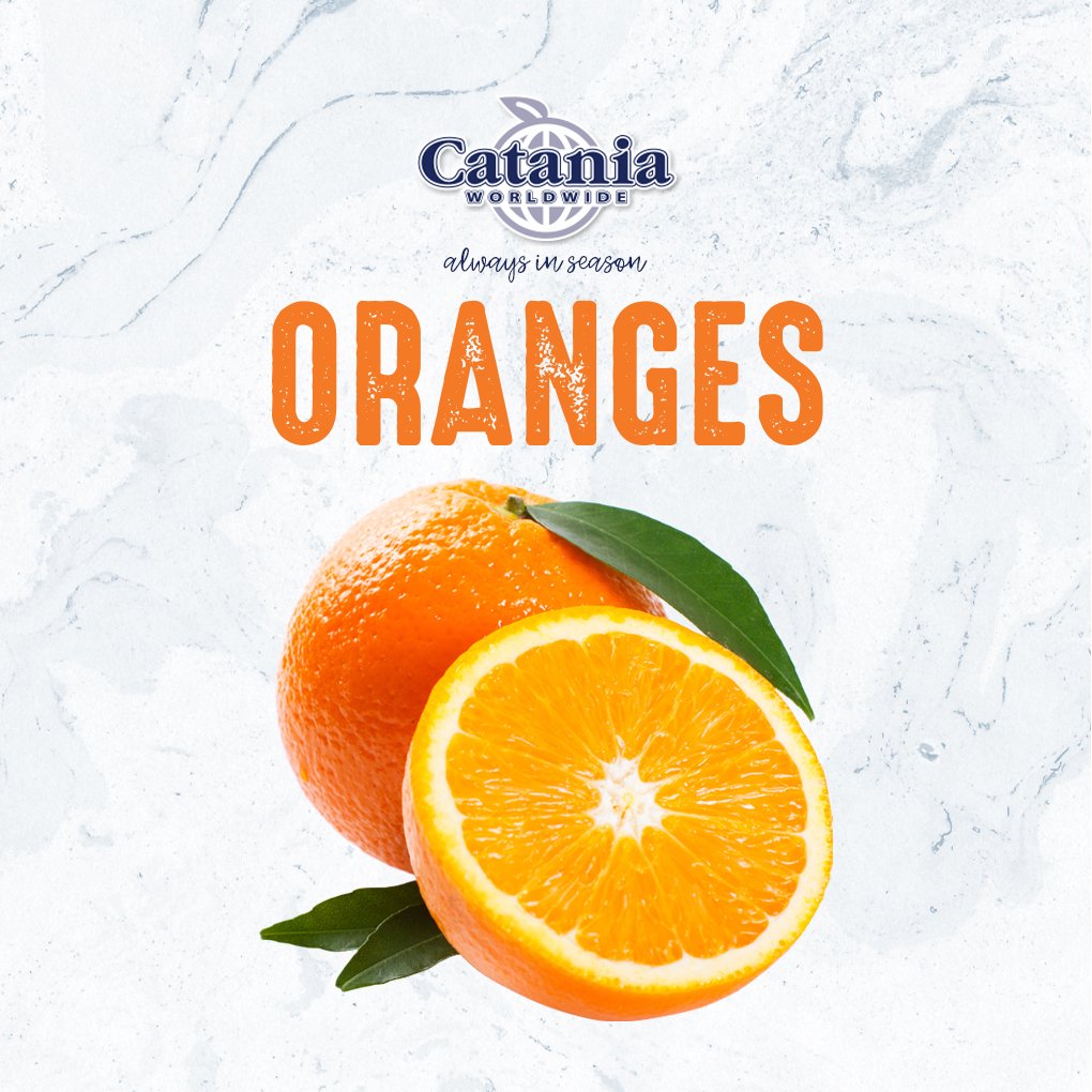 Catania Worldwide