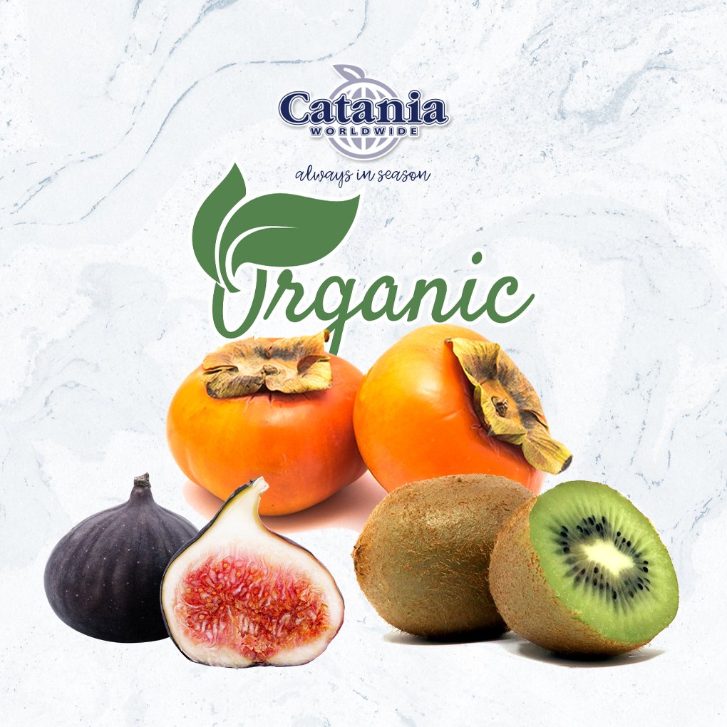 Catania Worldwide