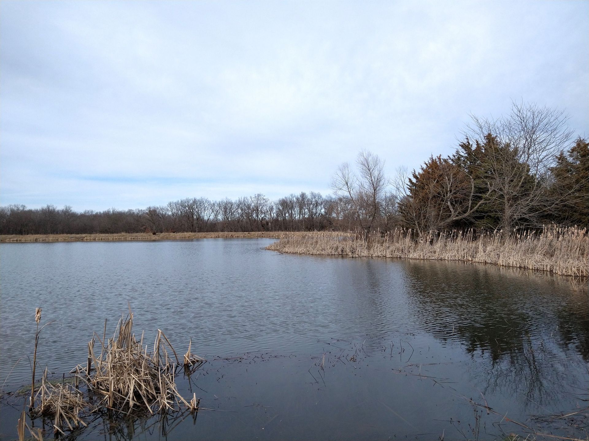 Conservation Foundation of Missouri Charitable Trust | Programs