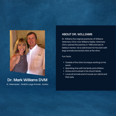 Williams-Sebby Veterinary Clinic & Pet Resort