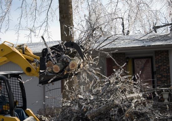 Storm Damage Clean Up | Victor Tosin Tree Service | Kansas City, MO